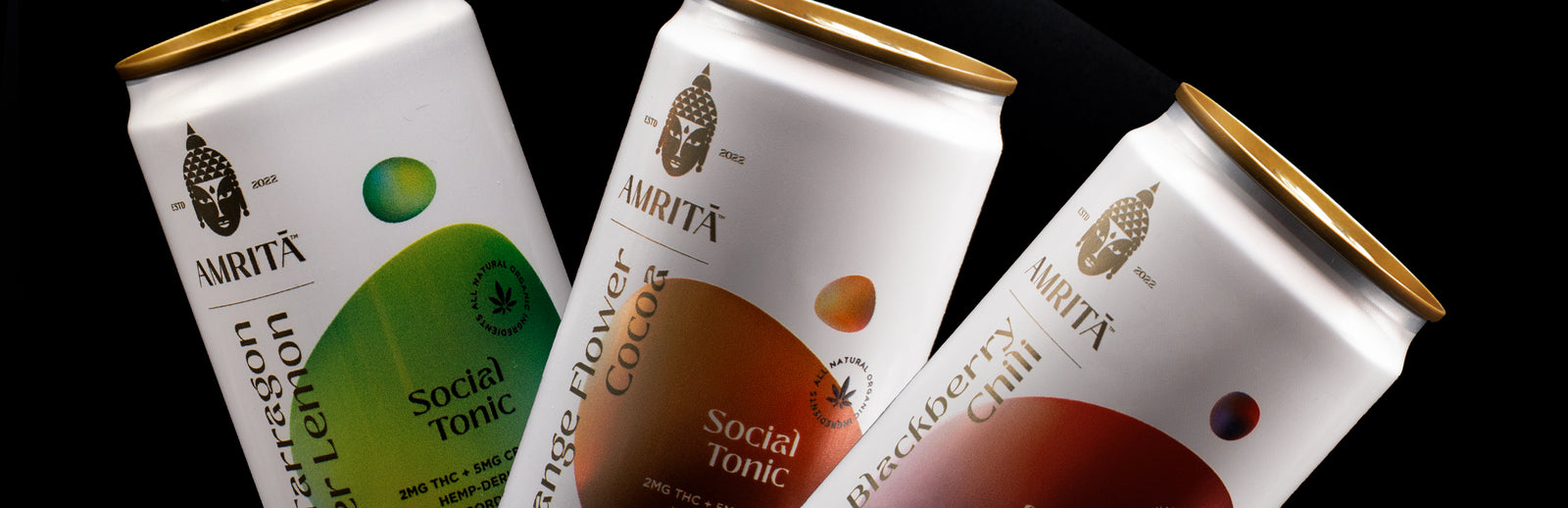 Infused Social Tonics – Drink Amritā